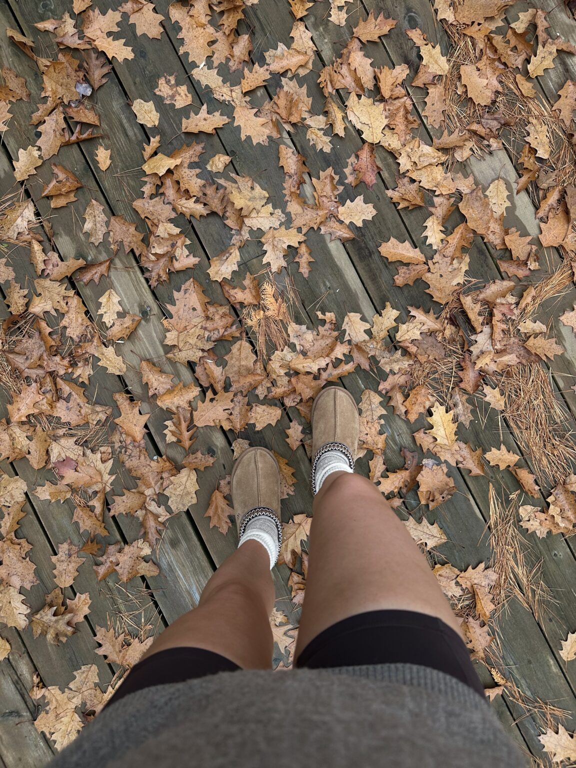 The Ultimate Fall Bucket List You Need To Try This Year